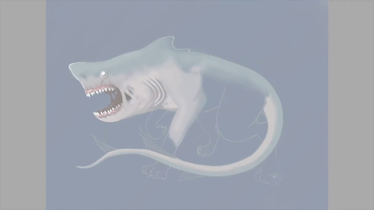 Shark Wolf Hybrid - YouTube