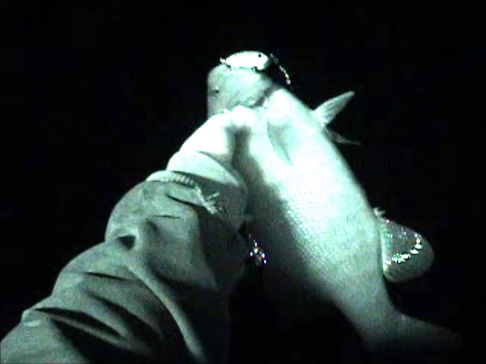 Night Fishing With Night Vision Smallmouth Bass Walleye's and Rock Bass ...