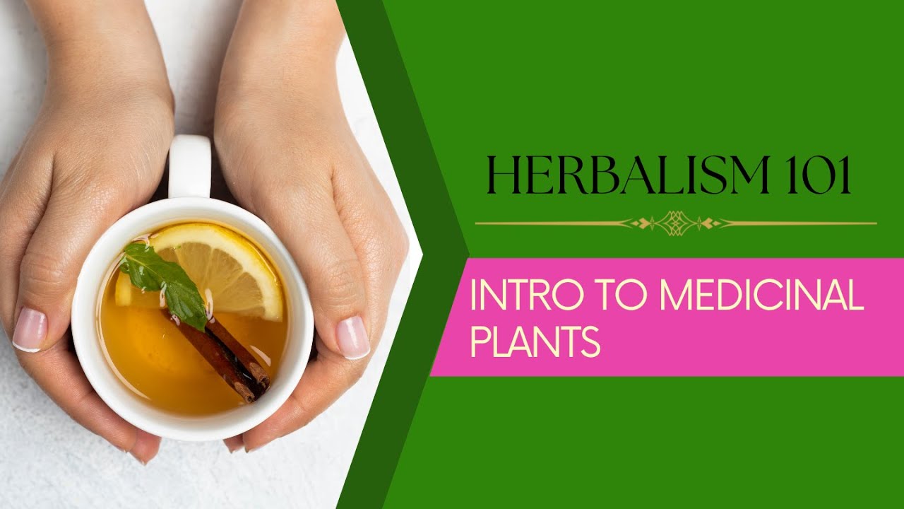 Unlocking Nature's Medicine Cabinet: Herbalism 101 for Women's Wellness - YouTube