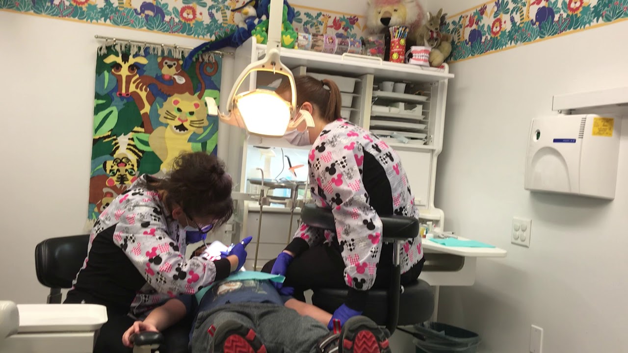 Getting My Tooth Pulled (Laughing Gas) -Stephen Tyler - YouTube