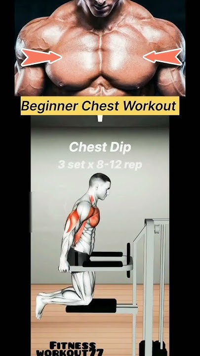 Ultimate Chest Workout For Gains Of Steel Its Time To Transform Your