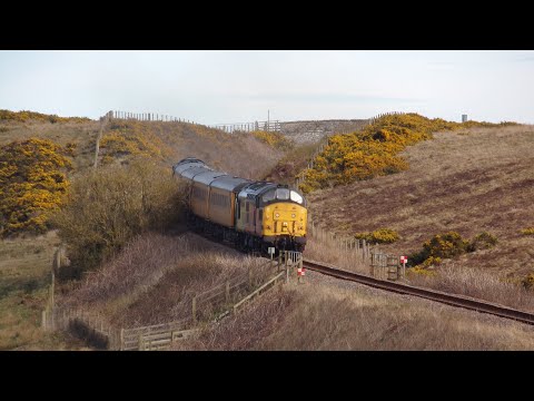 Trains on the Far North Line! - YouTube