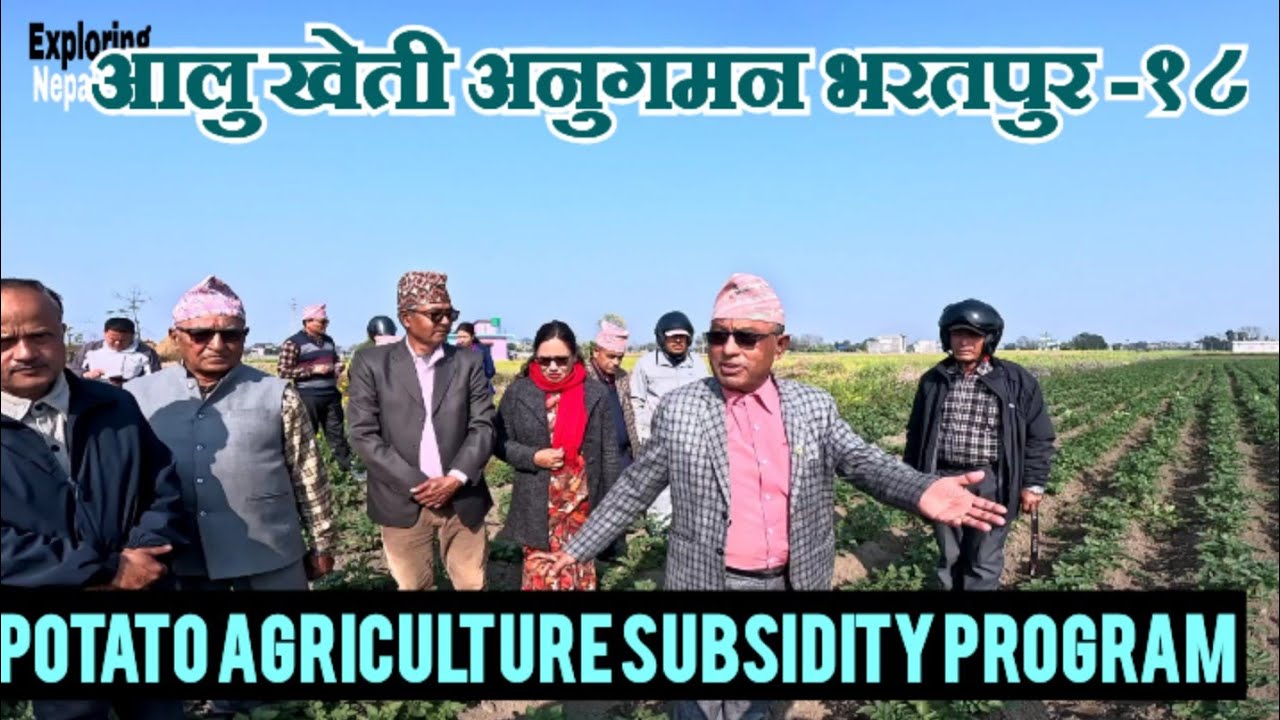 साना कृषक समूह आलूअनुदान कार्यक्रम भरतपुर -१८ | Potato Crops Subsidity Program Bharatpur -18 ...