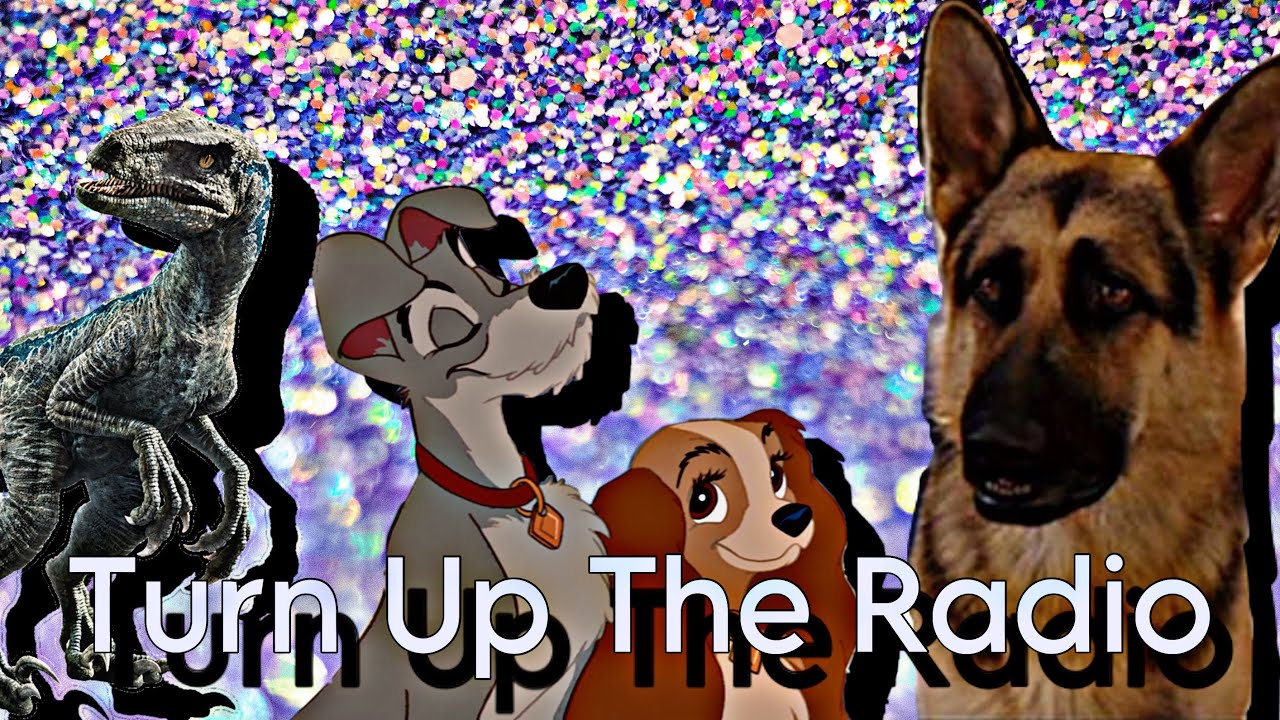 Animash~Turn Up The Radio - YouTube