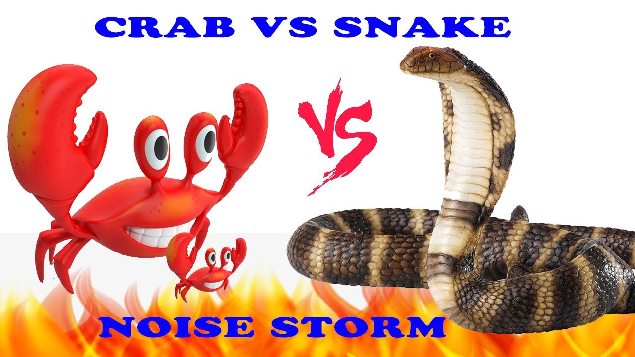 Noise storm - Crab Rave remix ( Snake VS Crab ) - YouTube