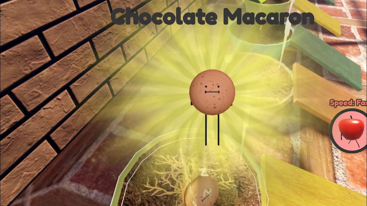 How to get chocolate macaron from secret staycation in Roblox - YouTube