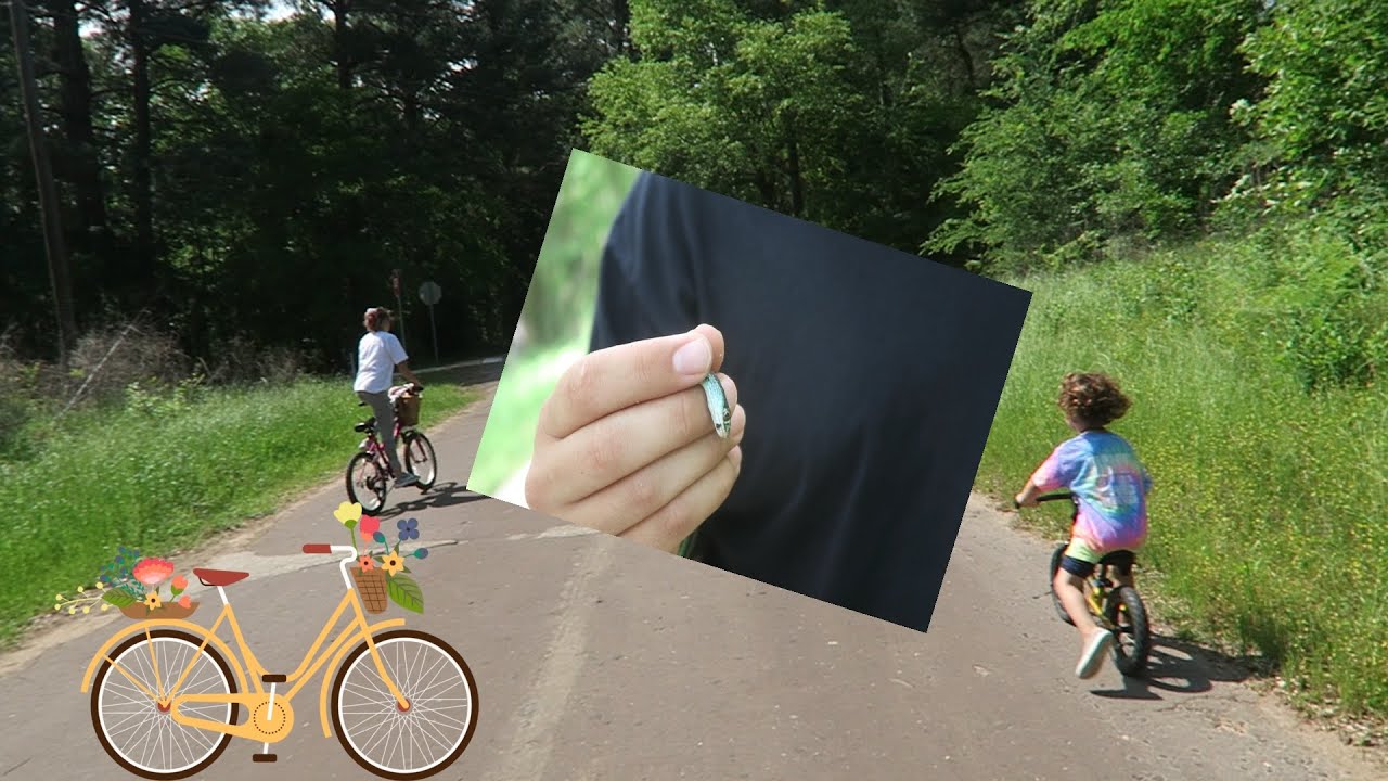 UNEXPECTED SNAKE SIGHTING ON NATURE WALK - YouTube