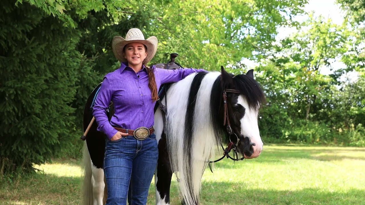 KRS Signature Horse Masque Clinton Anderson Method Trained Gelding ...