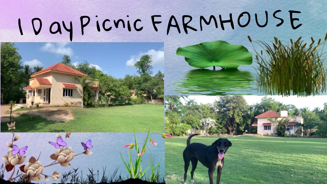 1 Day Picnic Farmhouse YouTube 1-day-picnic-farmhouse-youtube