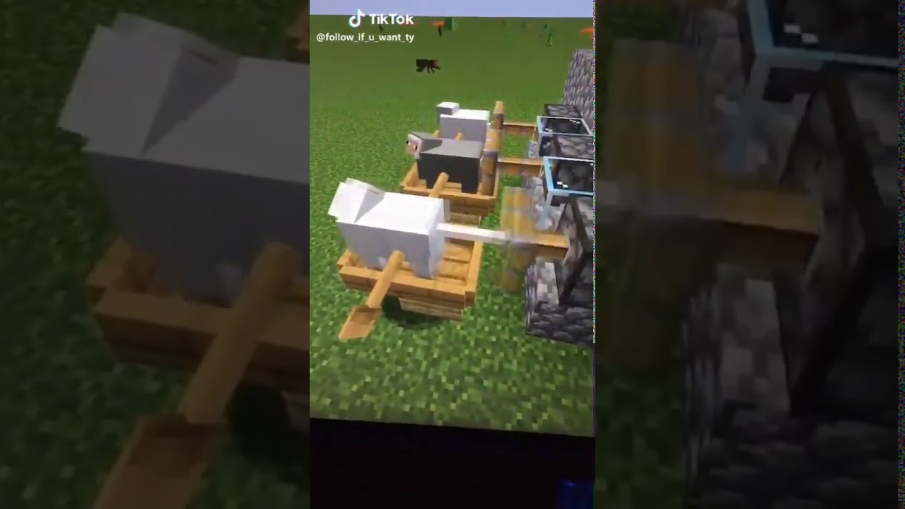 Sheep's get penetrated in Minecraft - YouTube