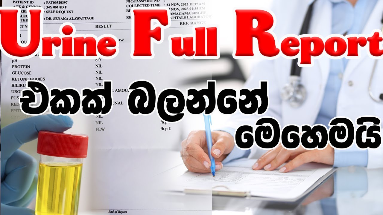UFR | Urine Full Report | මුත්‍රා පරීක්ෂණ වාර්තාවක් කියවන්නෙ කොහොමද ...