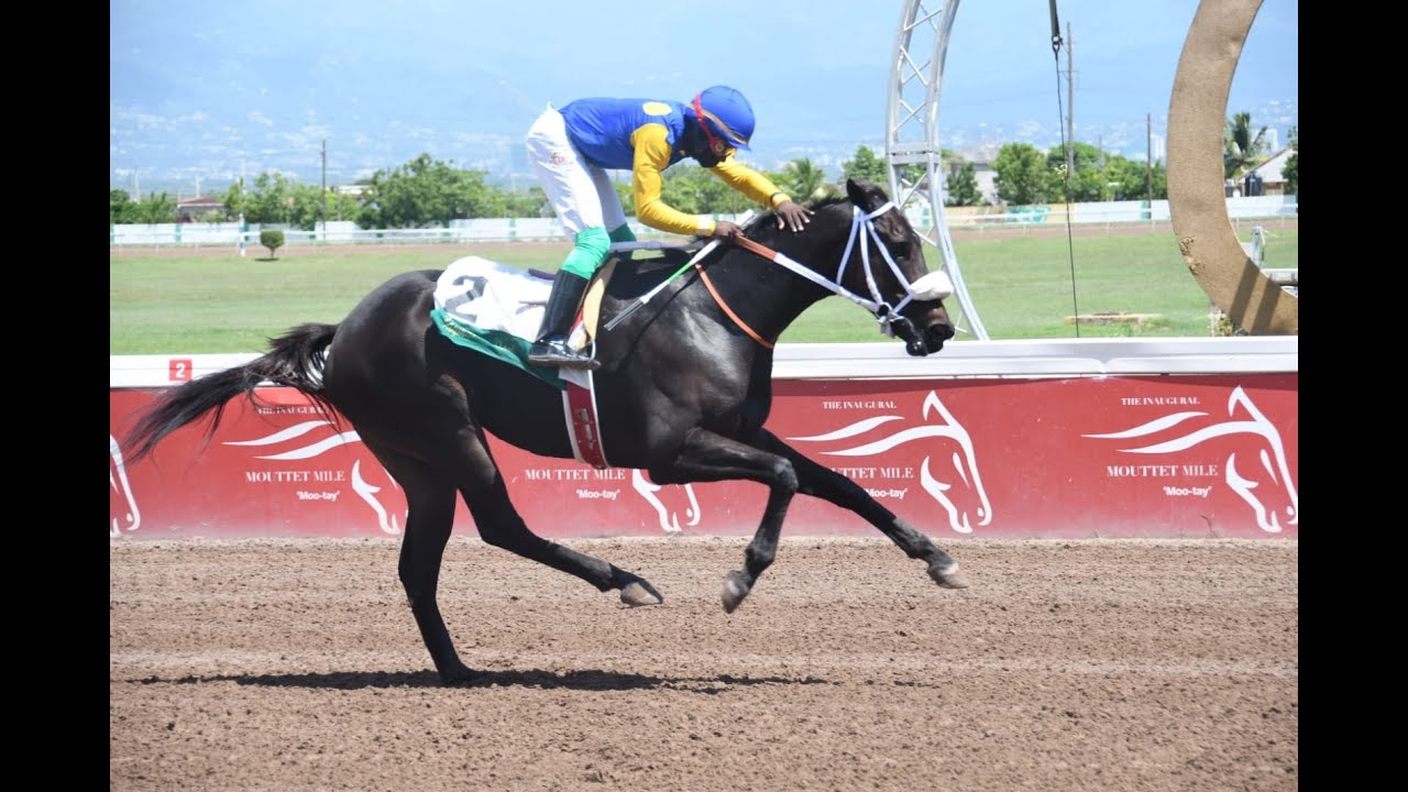 JAMAICA RACING: MS Cherry Makes Winning Debut – Sat, Sept 30, 2nd - YouTube