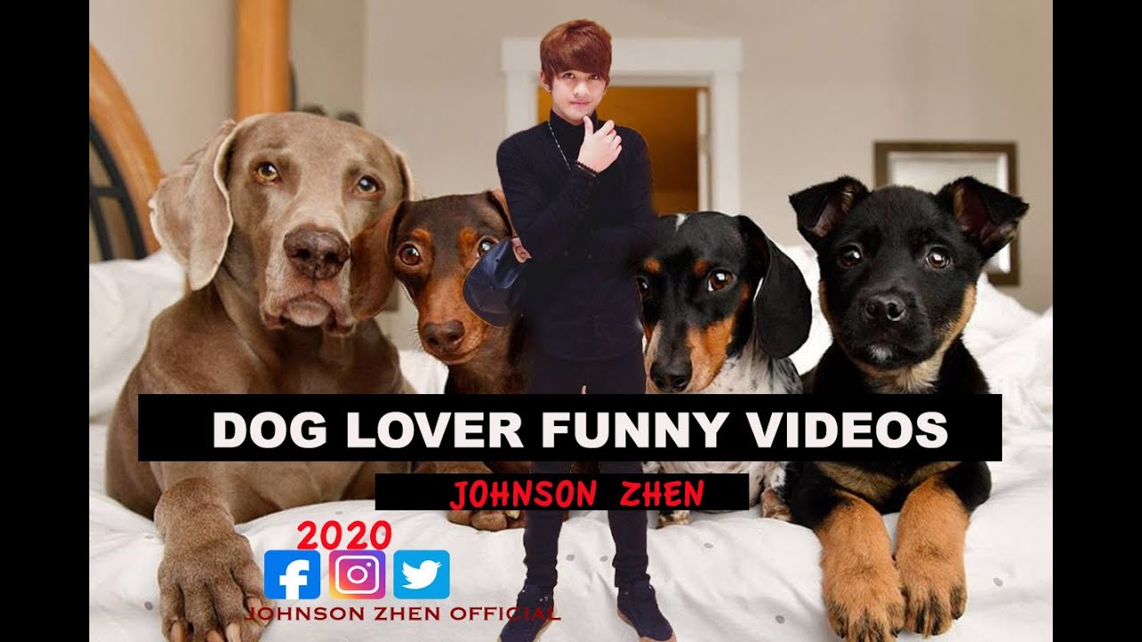 Funny Videos| 2020 DOG FUNNY CLIPS - YouTube