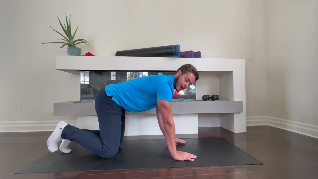 Multifidus Exercise - Quadruped Slight Lifts - YouTube