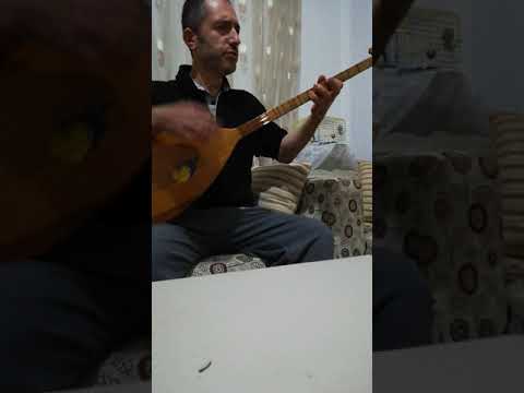 Elvis den türküler