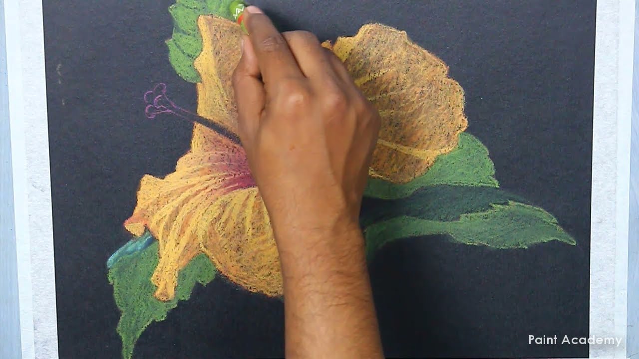 How to Draw Realistic Hibiscus Flower/ China Rose/ Gudhal with Oil ...