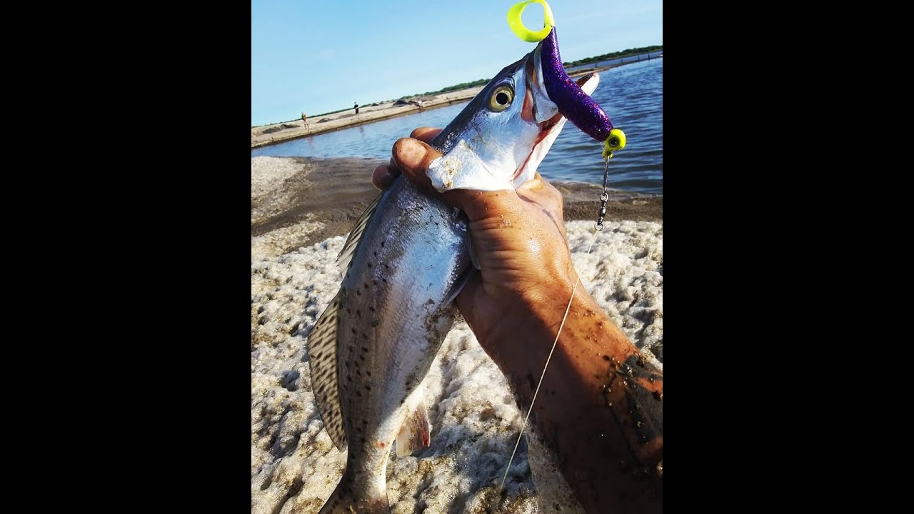 AM LURES+SPILLWAY=TROUT-MUD BRIDGE-SUNDOLPHIN DAYS-CORPUS FISHING-AM ...
