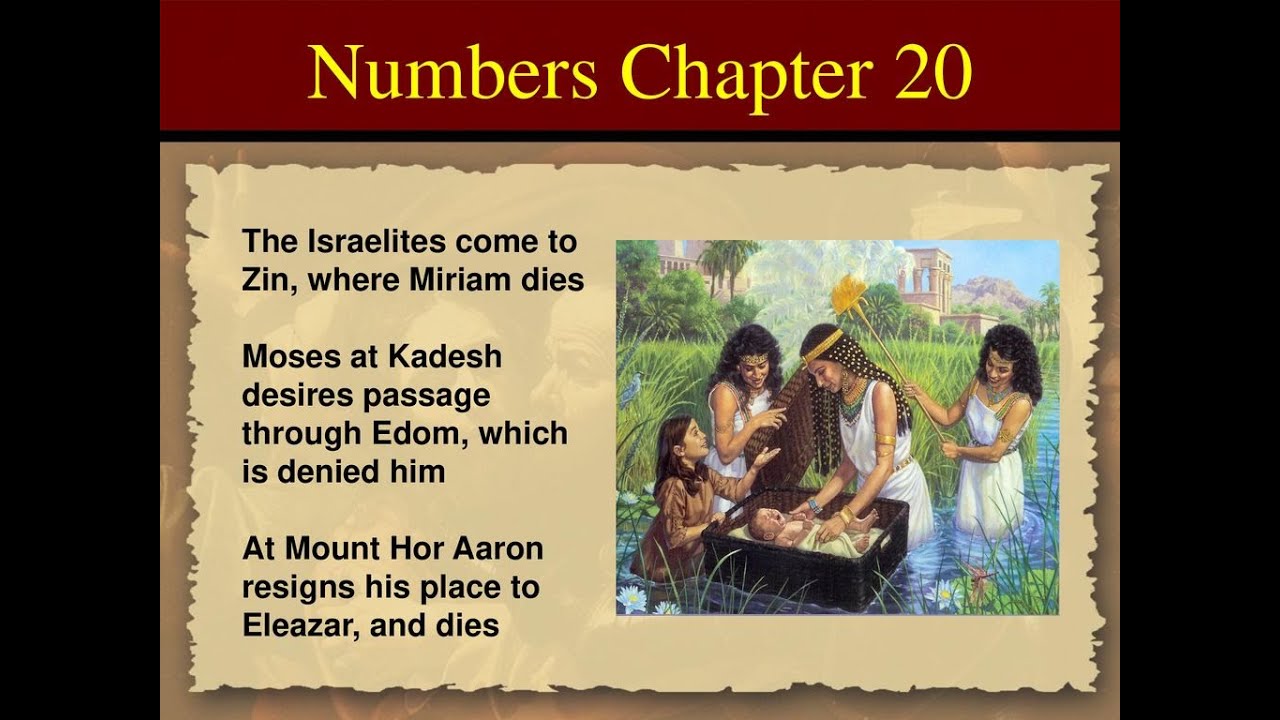Numbers chapter 20 - YouTube