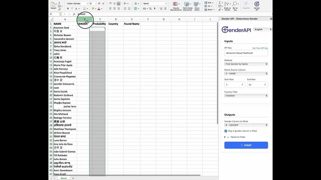 How to Genderize Names in Excel Using the GenderAPI Microsoft Excel Add-In - YouTube