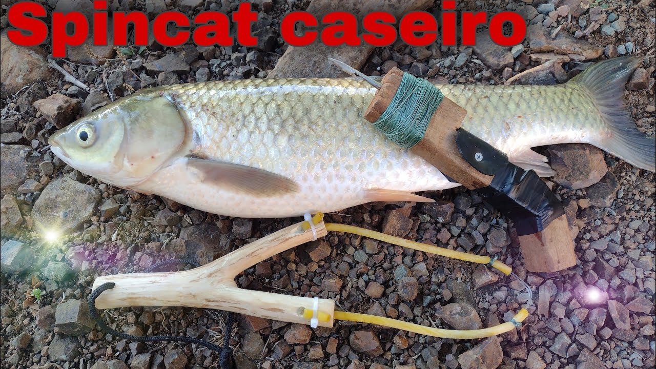 Carpa capim pega com Spincat caseiro... slingshot Fishing Brasil. - YouTube