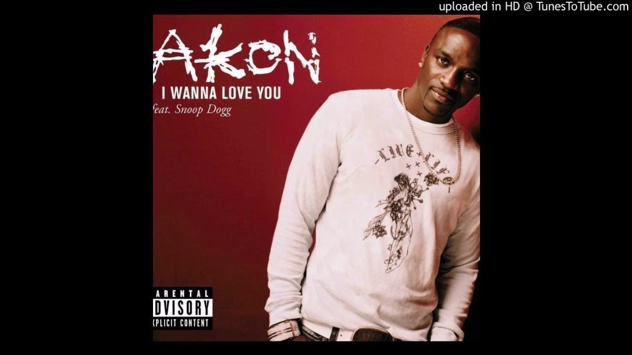 Akon feat. Snoop Dogg - I Wanna Love You - YouTube