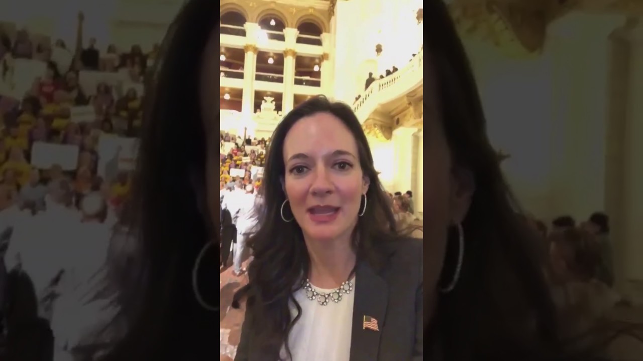 Rep. Borowicz Comments Live At Gun Control Rally - YouTube