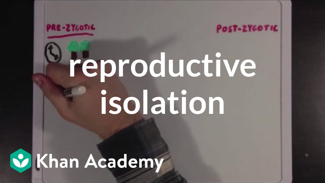 Reproductive Isolation Biomolecules Mcat Khan Academy Youtube