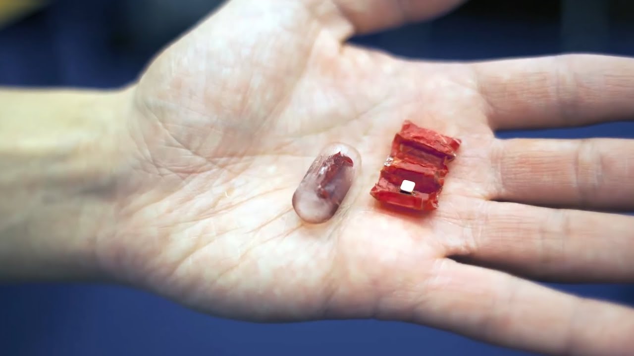 MIT researchers created a robot that's swallowed like a pill - YouTube