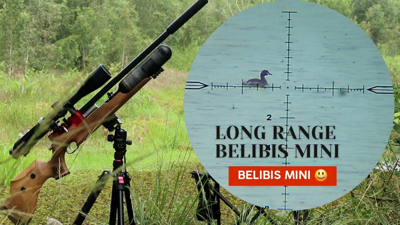LONG RANGE BELIBIS MINI - BELIBIS KO BOGEL 🤭 - YouTube