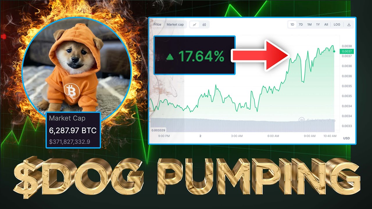 $DOG Pumps 17%+ in 24 Hours 🚀 (Shocking Data Revealed) - YouTube