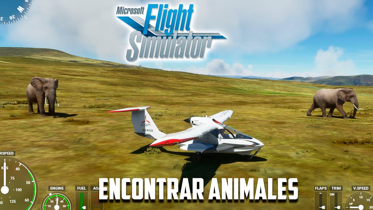 Como encontrar animales | microsoft flight simulator 2020 | viajando ...
