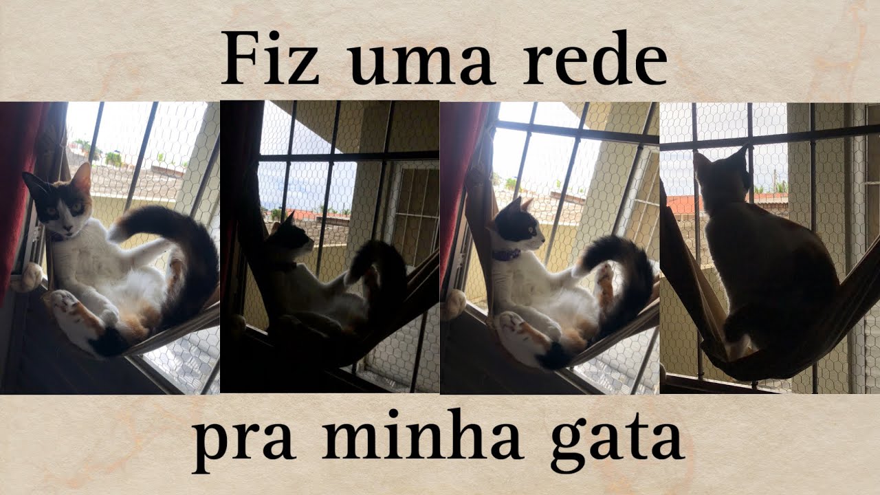 Fiz uma rede pra minha gata 😍 - YouTube