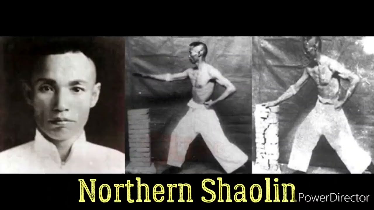 連 環 / Lián Huán - (Chains of multiple strikes) Northern Shaolin #9 Gu ...