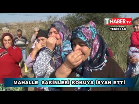 MAHALLE SAKİNLERİ KOKUYA İSYAN ETTİ