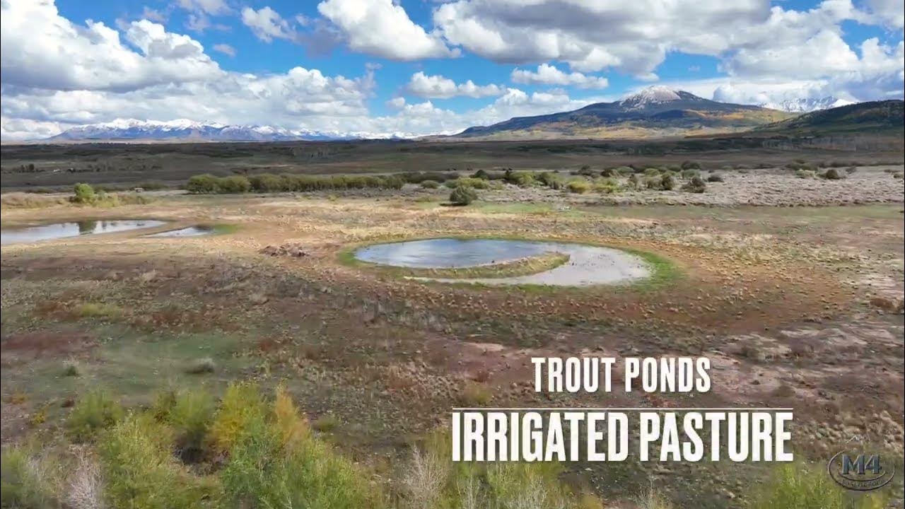 Placerville Ranch - Colorado Ranches for Sale - YouTube