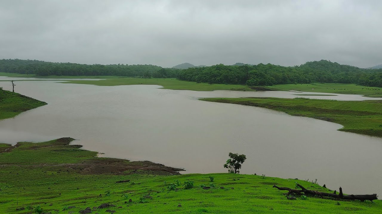 amli dam mandvi Surat / mandvi forest / river crossing / jungle me ...