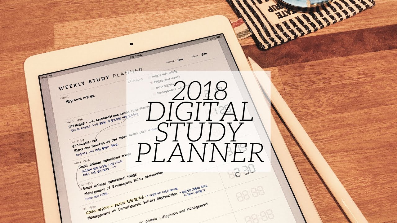2019 DIGITAL STUDY PLANNER | 신년 스터디 플래너 구경해요! | 아이패드 다이어리 - YouTube