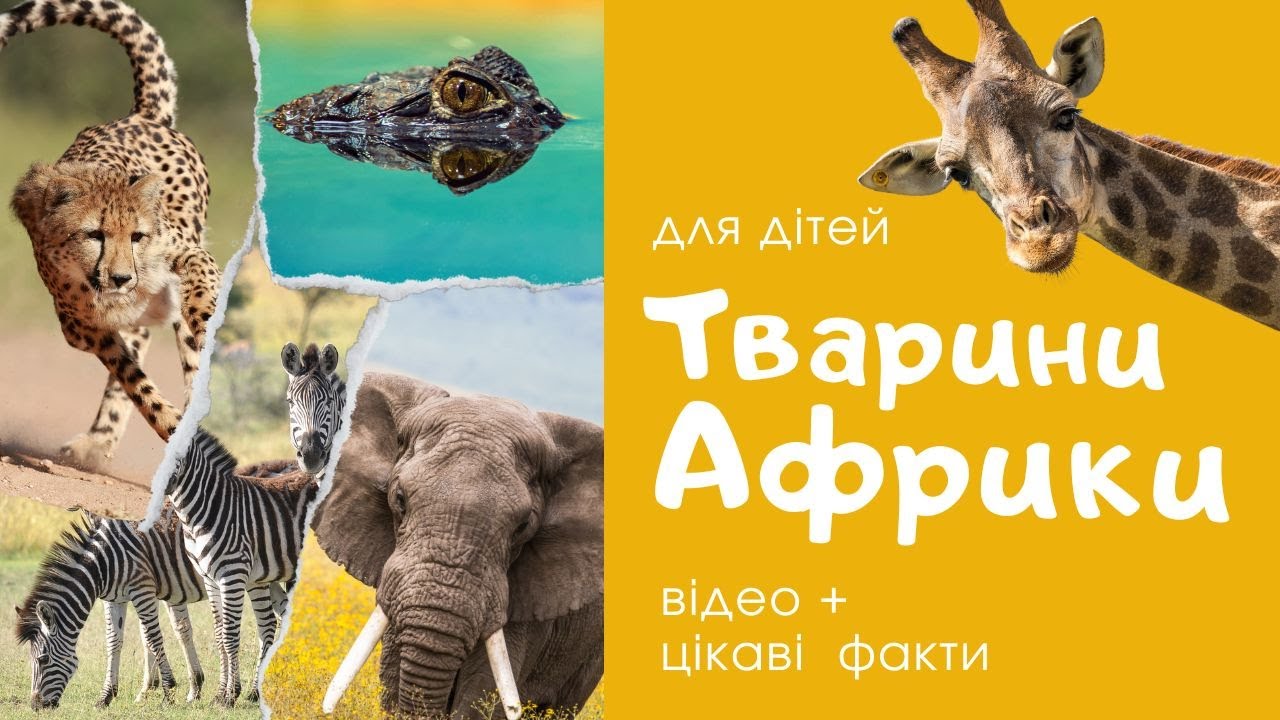 20 ТВАРИН АФРИКИ розвиваючі відео для дітей Назви тварин та цікаві