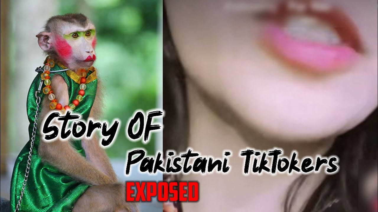 Pakistani TikTok girls plus tharki people's / EXPOSED / Tharki Bhai ...