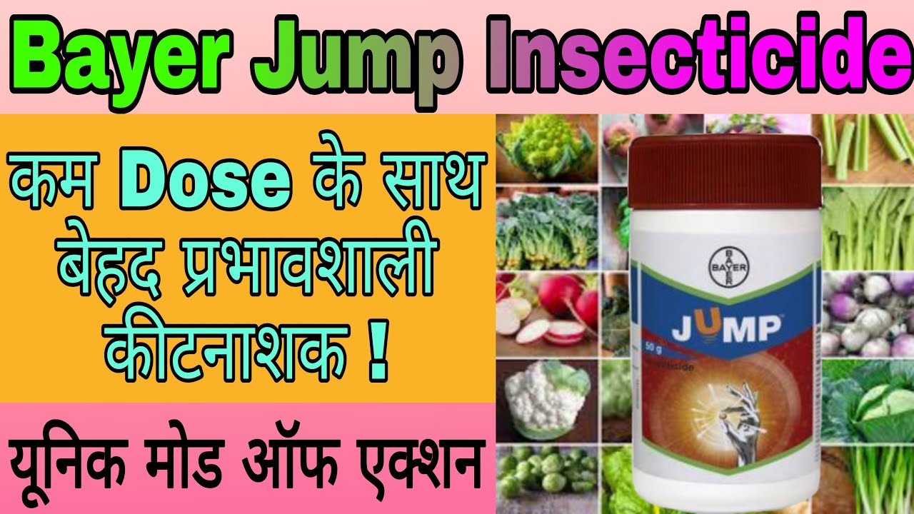 jump Insecticide | bayer jump Insecticide | fipronil 80 wg | # ...