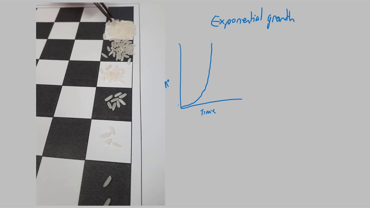 How is bacteria like grains of rice on a chess board? - YouTube