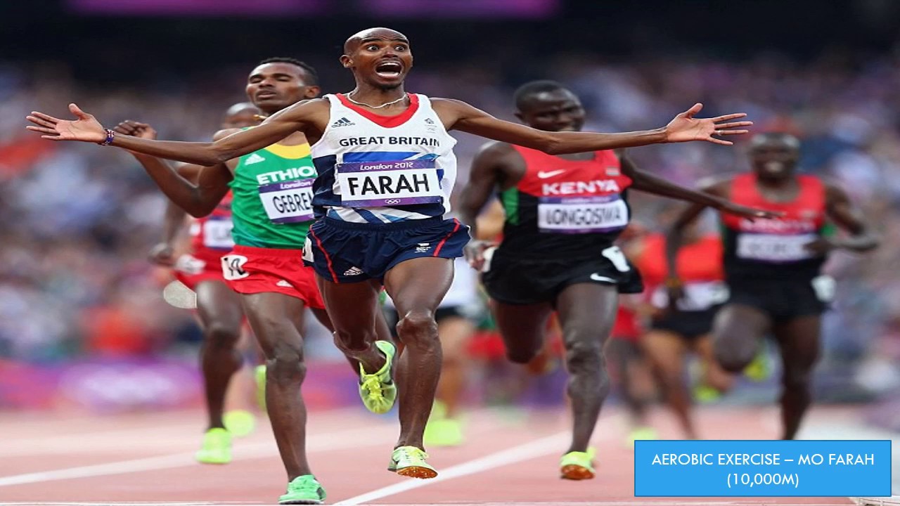 The role of atp & the atp-pc, lactate and aerobic system - YouTube