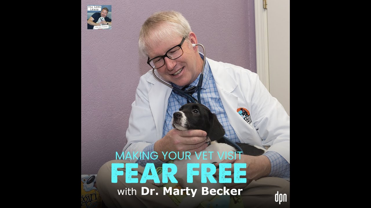 Making Your Vet Visit Fear Free with Dr. Marty Becker | The Long Leash ...
