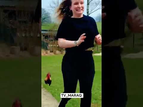 Maraqlı ve Gülməli videolar #gülməli #prikol #maraqli #sonxeber #viral #keşfetbeniöneçıkar #keşfet