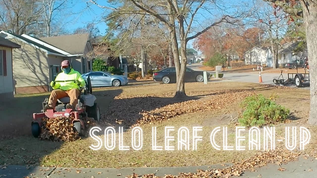 December Solo Leaf Clean-Up - YouTube