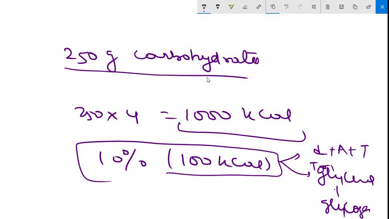 SPECIFIC DYNAMIC ACTION [FOR BIOCHEM] - YouTube
