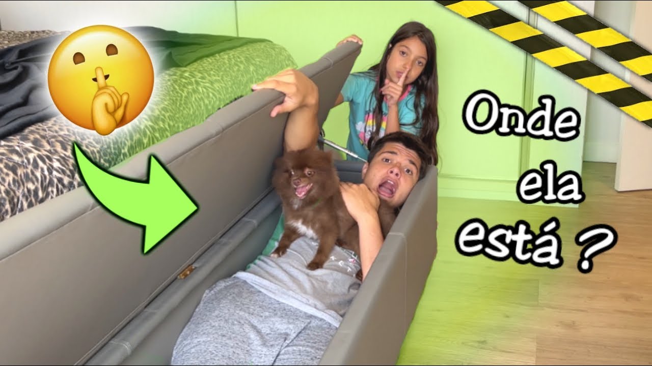 PIQUE ESCONDE na CASA NOVA !! Quem se escondeu melhor ? - YouTube