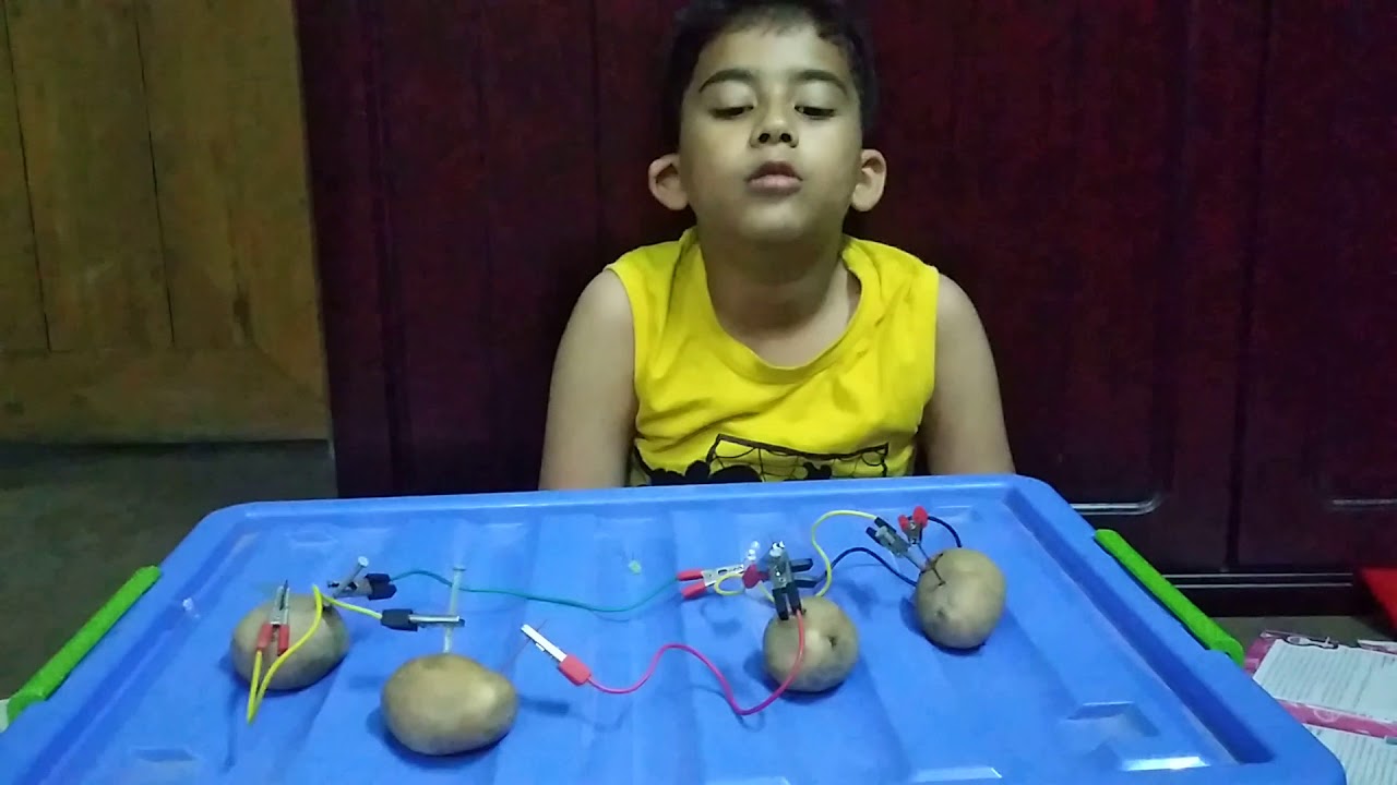 Vegetable lamp: how to make a light glow with Vegetable- explanation ...