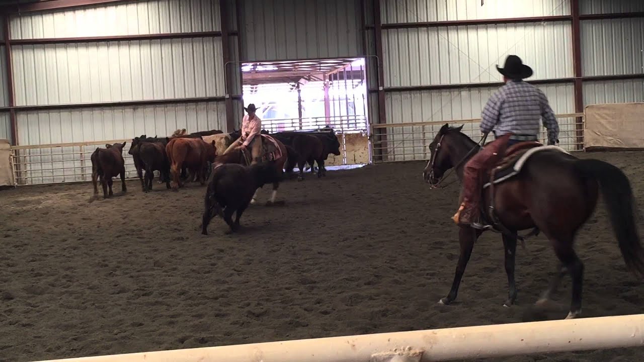 Donna Padula riding Tanner April 12 2015 SCCHA - YouTube