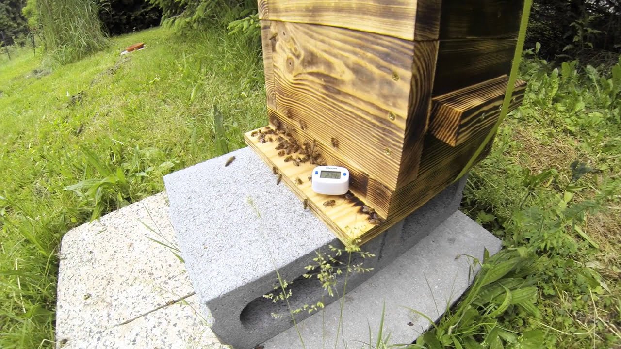 Japonský úl, Japanese bee hive, 3 díl - YouTube